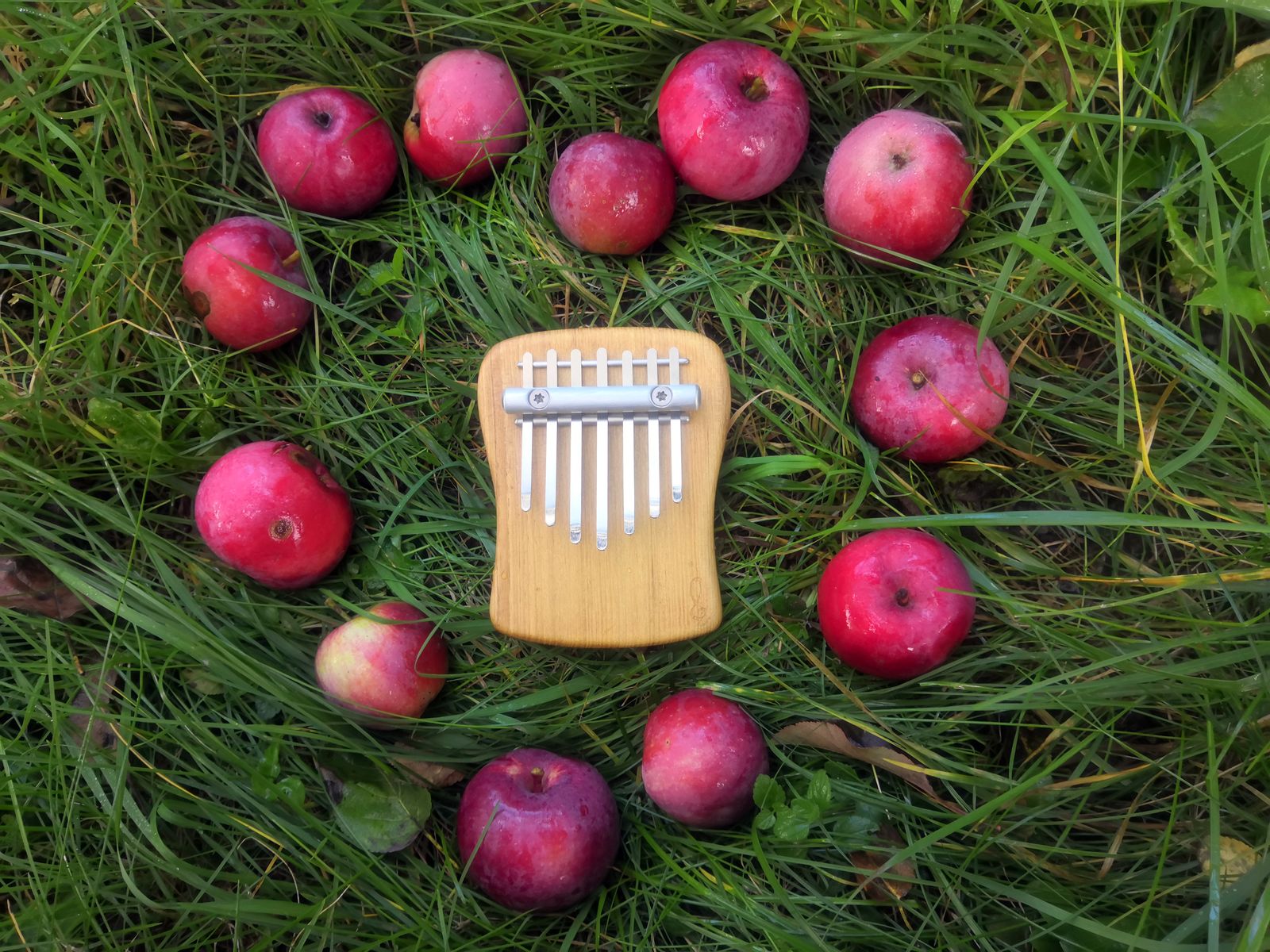 Kalimba D7 akát - Kalimby Harmonie Zvuku